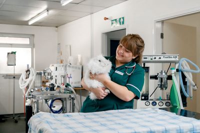 Aldgate Veterinary Practice - Home