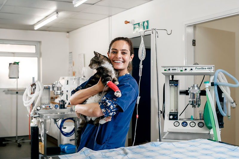 Aldgate Veterinary Practice - Home