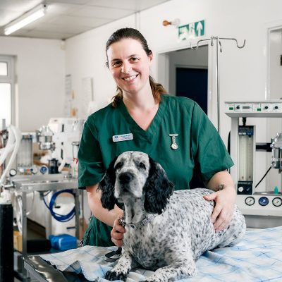 Meet the team - Aldgate Veterinary Practice