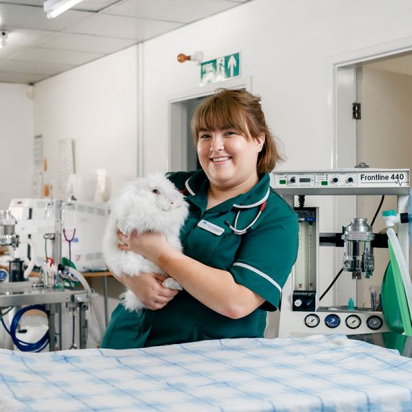 Meet the team - Aldgate Veterinary Practice