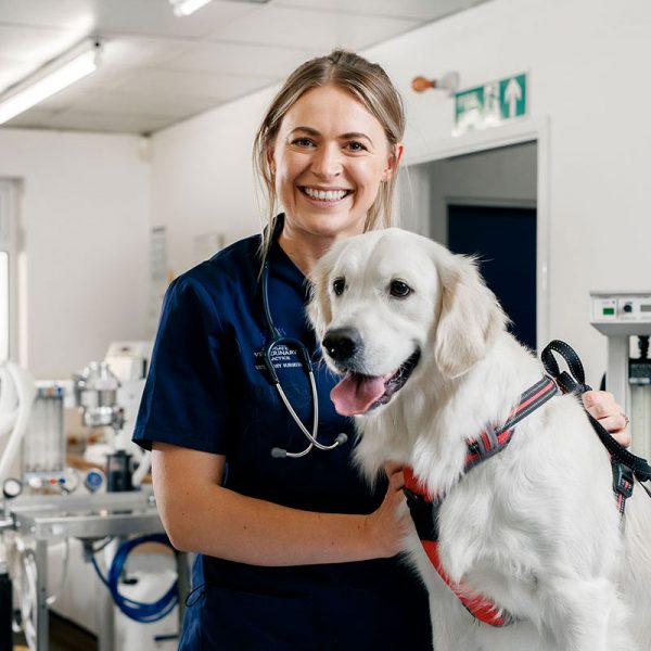Meet the team - Aldgate Veterinary Practice