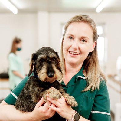 Meet the team - Aldgate Veterinary Practice