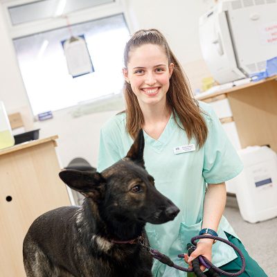 Meet the team - Aldgate Veterinary Practice