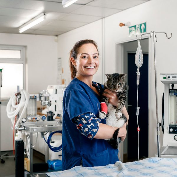 Meet the team - Aldgate Veterinary Practice