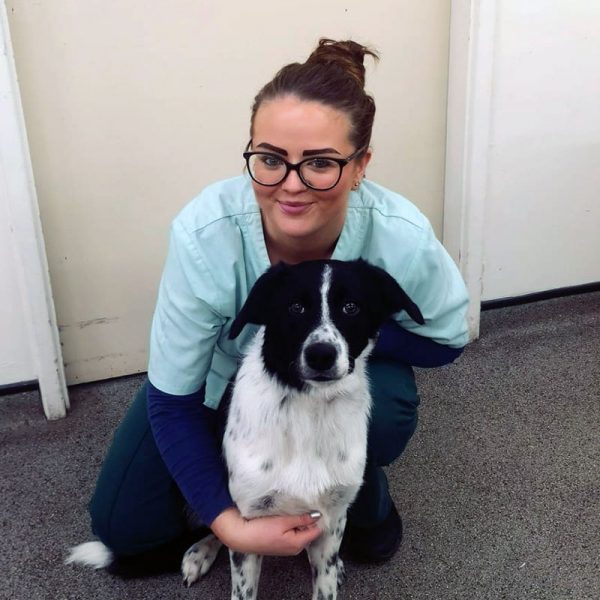 Meet the team - Aldgate Veterinary Practice