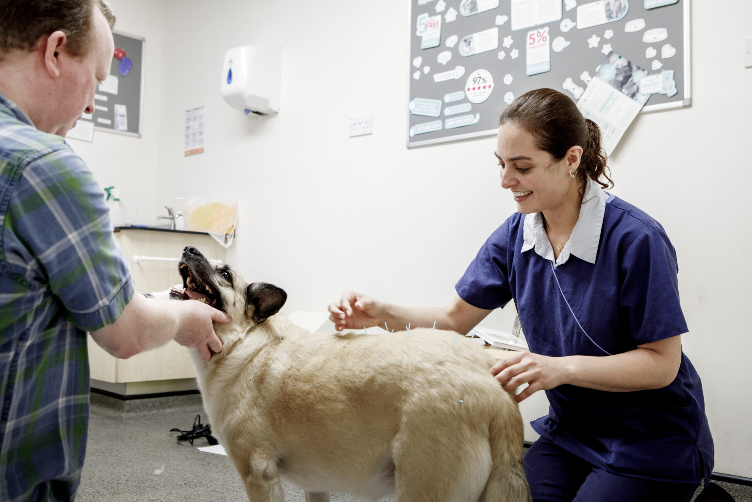 Aldgate Veterinary Practice - Home