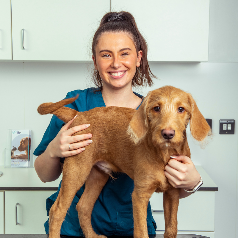 Meet the team - Aldgate Veterinary Practice