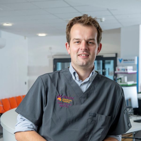 Meet the team - Aldgate Veterinary Practice