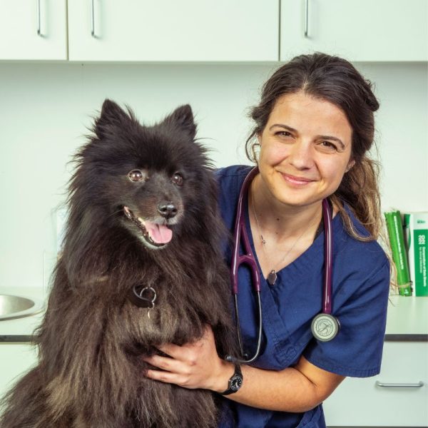 Meet the team - Aldgate Veterinary Practice