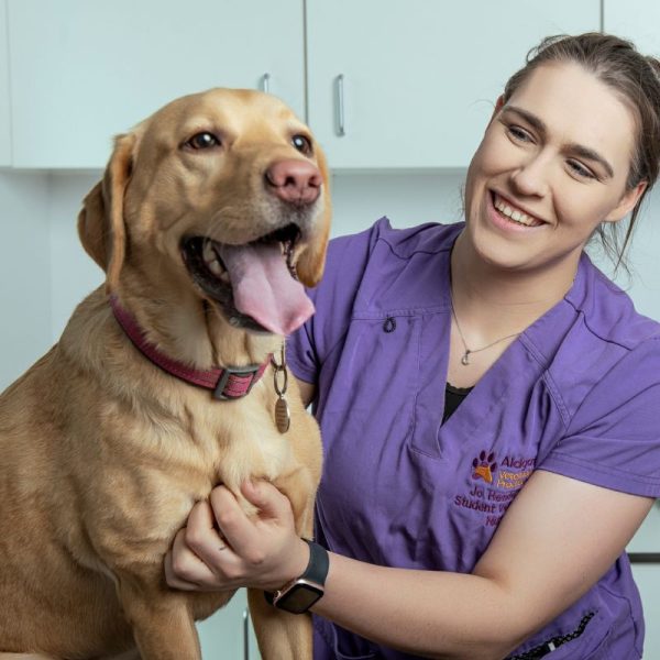 Meet the team - Aldgate Veterinary Practice