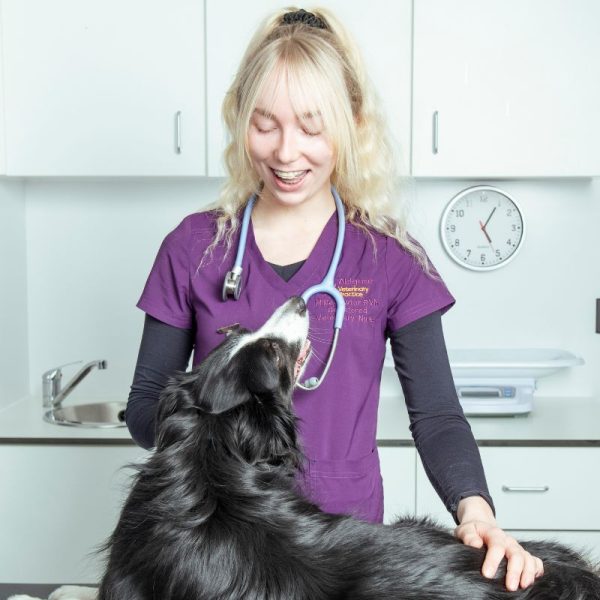 Meet the team - Aldgate Veterinary Practice