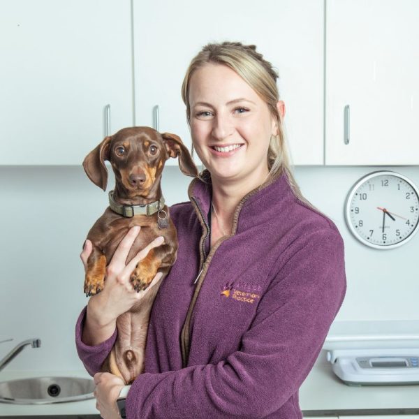 Meet the team - Aldgate Veterinary Practice