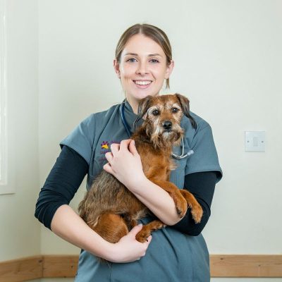 Meet the team - Aldgate Veterinary Practice