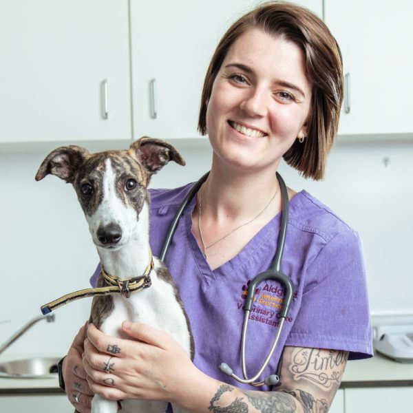 Meet the team - Aldgate Veterinary Practice
