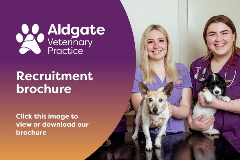 Careers - Aldgate Veterinary Practice