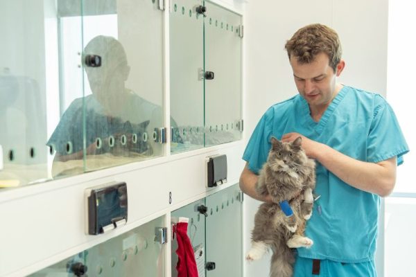 Aldgate Veterinary Practice | Bridlington & Driffield