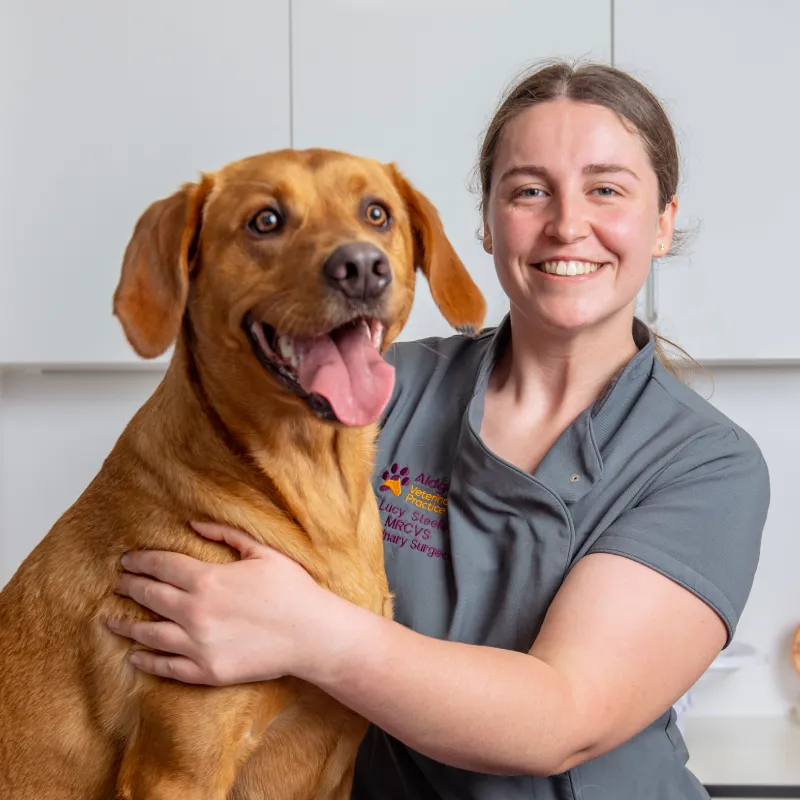 Meet the team - Aldgate Veterinary Practice